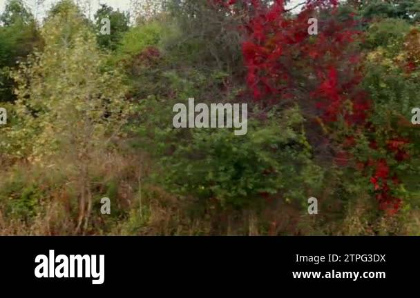 Falls embrace Stock Videos & Footage - HD and 4K Video Clips - Alamy