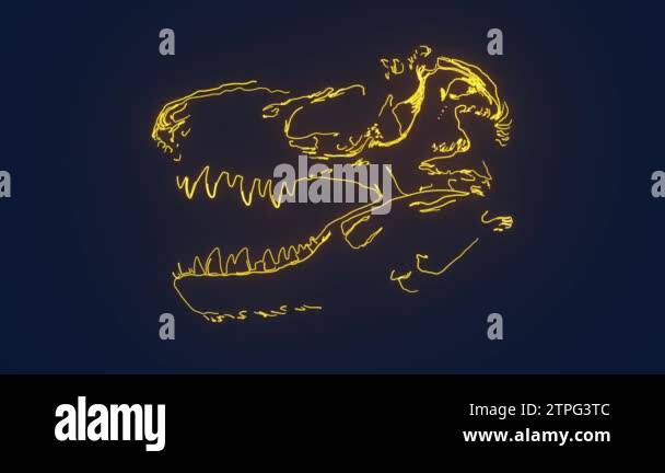 Dinosaur head fossil scan technology animation Stock Video Footage - Alamy