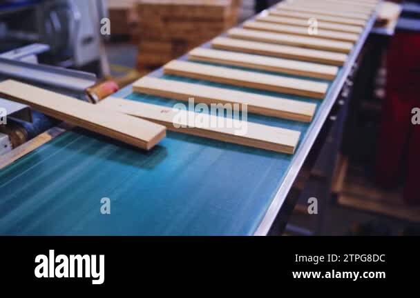 Wooden boards moving on a conveyor line. Modern factory of parquet ...