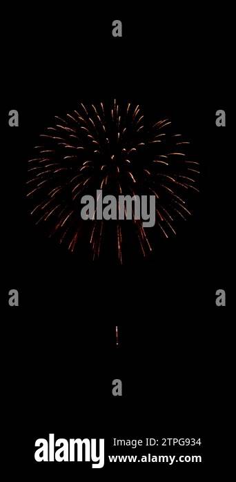 4K vertical. seamless looping of real beautiful fireworks background ...