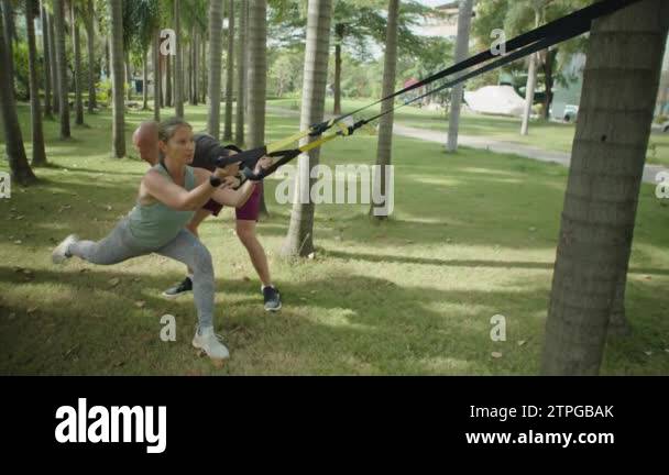 Tree straps Stock Videos & Footage - HD and 4K Video Clips - Alamy