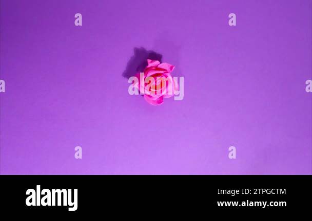 Stop motion animation psychedelic interesting transformation of objects ...