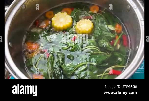 Bayam Stock Videos & Footage - HD and 4K Video Clips - Alamy
