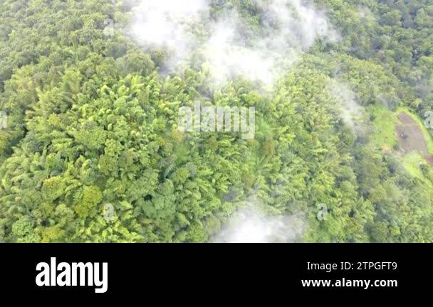 Samoeng Forest Park, a spectacular views of the forest and mountains ...
