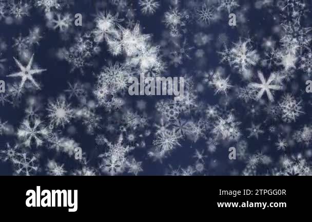 Pretty Snow 3 // 4k Detailed Ornamental Snow Video Background Loop. A ...