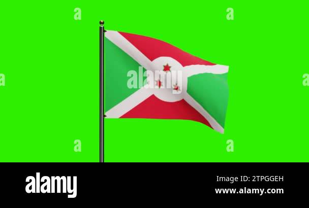 3D Rendered Brunei National Flag Waving Animation with Realistic Wind ...