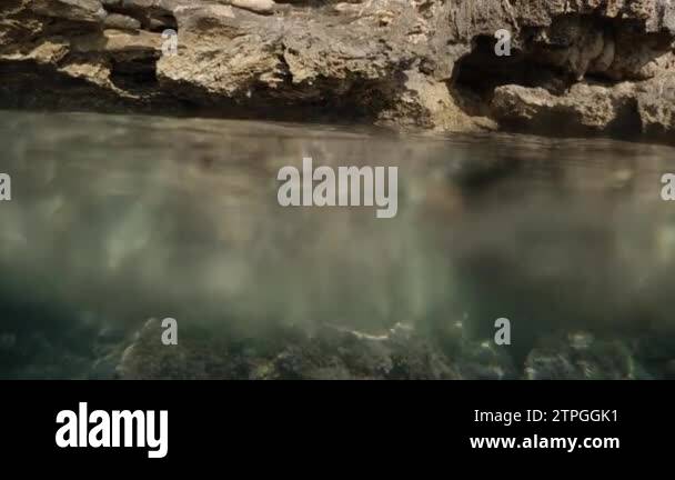 Underwater sea view from below Stock Videos & Footage - HD and 4K Video ...