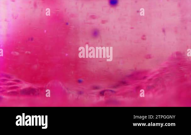 Translucent pink gel texture Stock Videos & Footage - HD and 4K Video ...