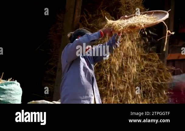 Indigenous sieve Stock Videos & Footage - HD and 4K Video Clips - Alamy