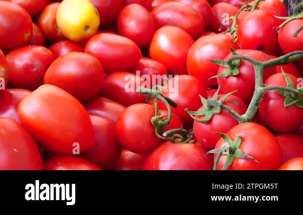 Cherry market stall Stock Videos & Footage - HD and 4K Video Clips - Alamy
