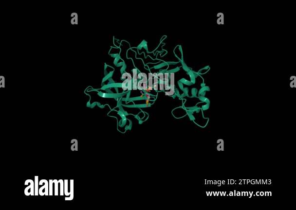 Renin molecule Stock Videos & Footage - HD and 4K Video Clips - Alamy