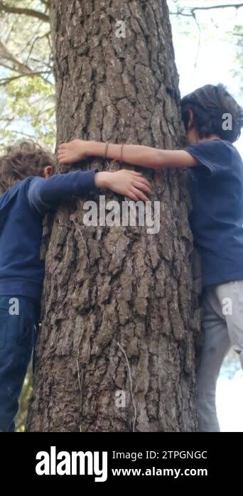 Happy children hugging a tree with his hands. Forest environment ...