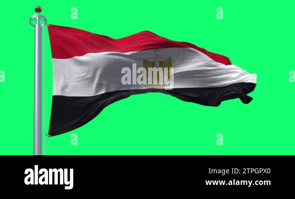 National flag of Egypt waving on green screen. Horizontal red, white ...