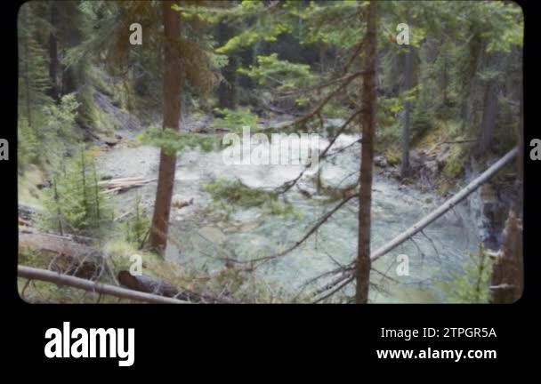 River flow through dense forest Stock Videos & Footage - HD and 4K ...