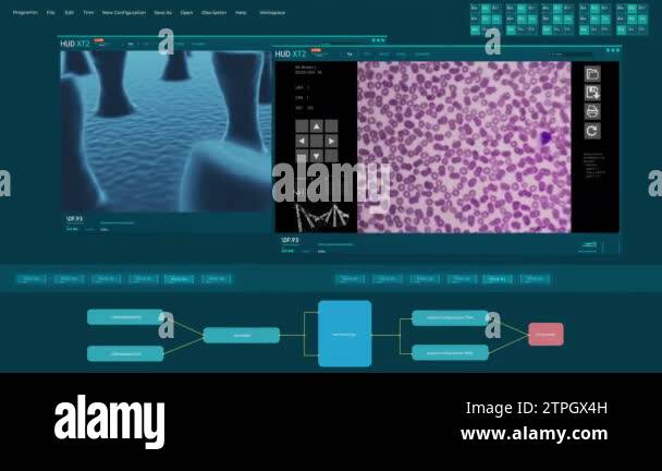 Data scientific Stock Videos & Footage - HD and 4K Video Clips - Alamy