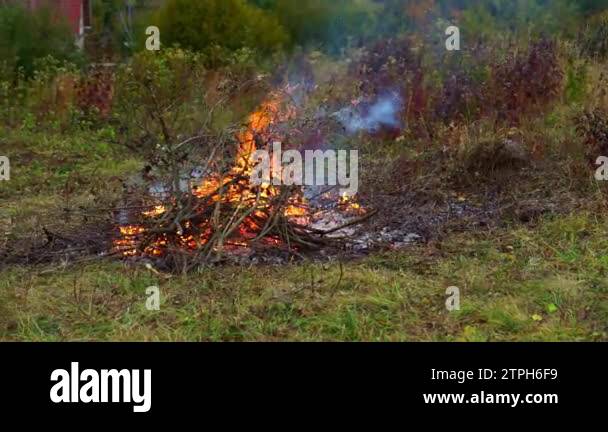 Plot out Stock Videos & Footage - HD and 4K Video Clips - Alamy