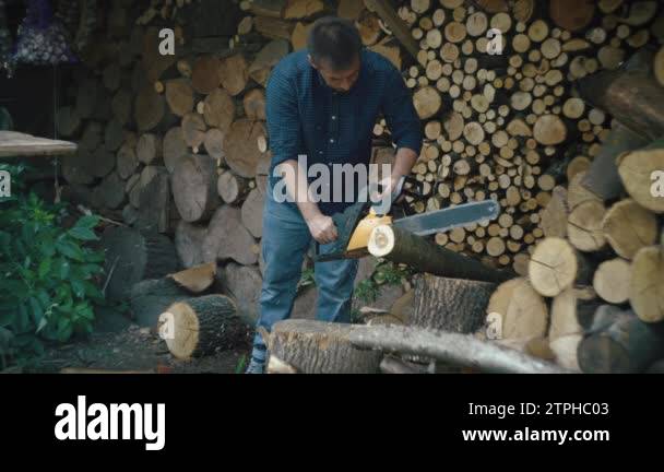 The guy works, collects firewood by cutting logs with a chainsaw. Hard ...