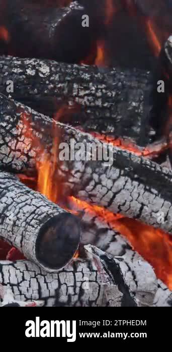 Fire burns in campfire Stock Videos & Footage - HD and 4K Video Clips ...