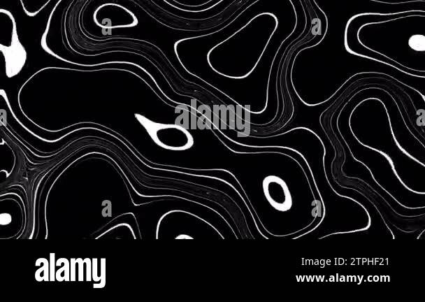 Abstract animated outline topographic contour map. Moving waves on ...