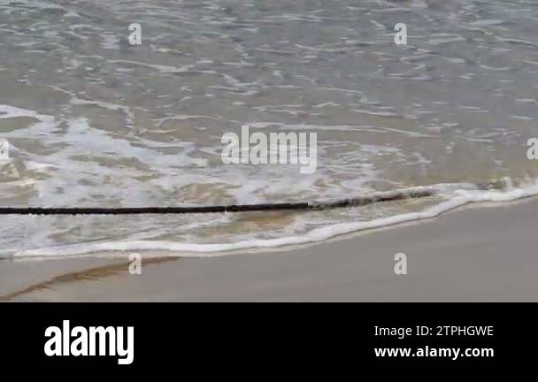 Do not cross the rope barrier Stock Videos & Footage - HD and 4K Video ...