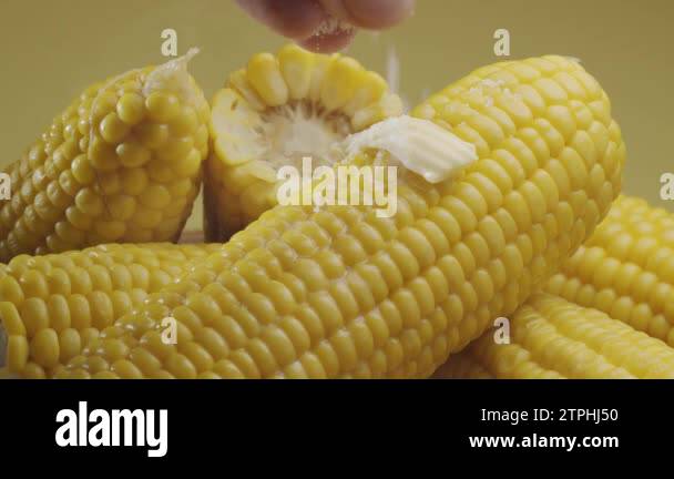 Piece of butter is slowly move along the ripe boiled cob of corn. Nice ...