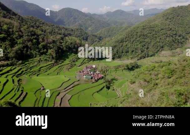 Daylight gently bathes the sprawling rice terraces and lush mountains ...