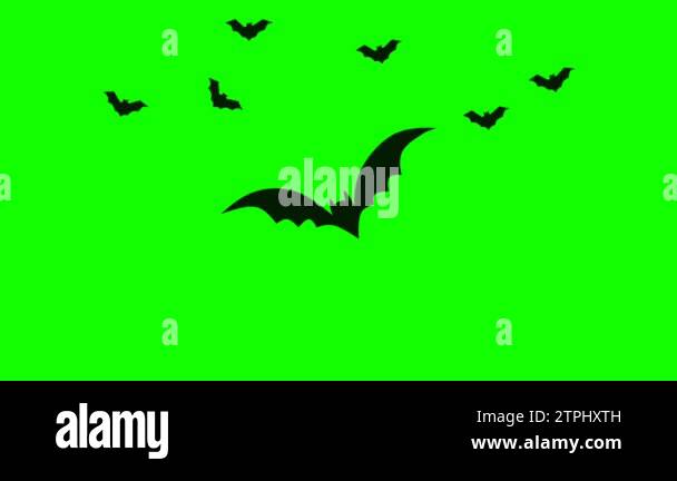 Halloween animation with bats, under a scary animated green background ...
