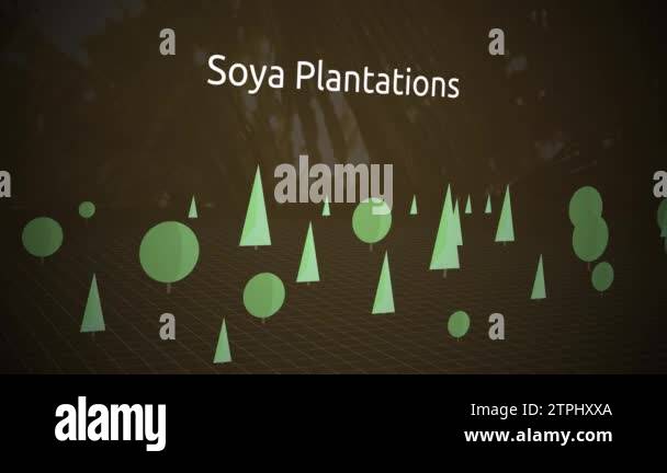 Soya plantations Stock Videos & Footage - HD and 4K Video Clips - Alamy