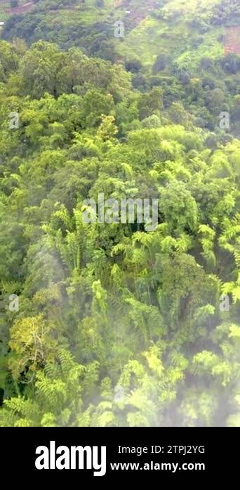 Samoeng Forest Park, a spectacular views of the forest and mountains ...