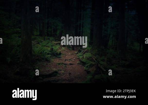 Fairy tale path Stock Videos & Footage - HD and 4K Video Clips - Alamy