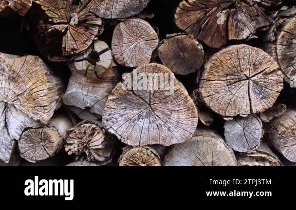 Wood texture old oak logs Stock Videos & Footage - HD and 4K Video ...