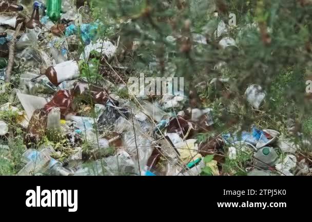Garbage dump of plastic and bottles in the forest. Pile of synthetic ...