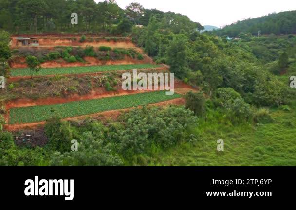 Terrace fields Stock Videos & Footage - HD and 4K Video Clips - Alamy