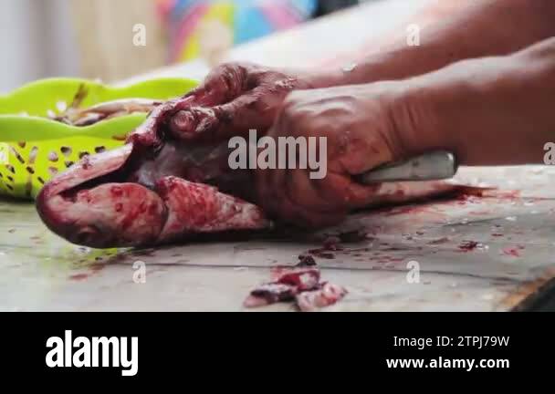 Fish evisceration Stock Videos & Footage - HD and 4K Video Clips - Alamy