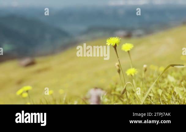 Bolzano landscapes Stock Videos & Footage - HD and 4K Video Clips - Alamy