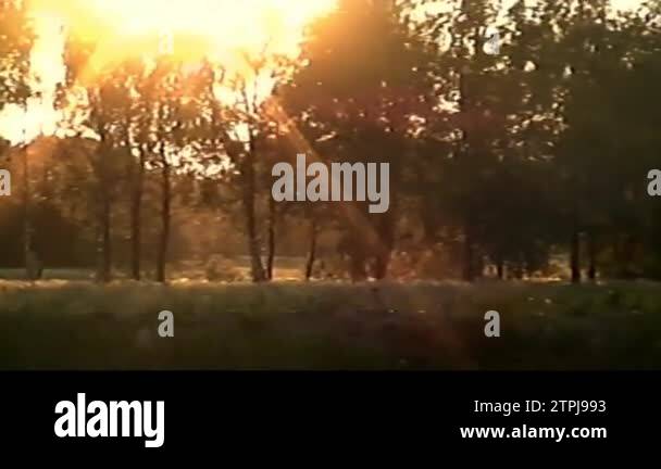 Retro VHS footage, Scan from vintage VHS-C Betacam. Summer in the city ...