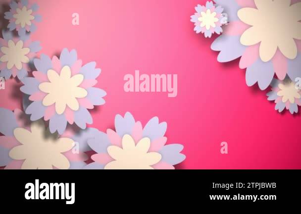 Animated wallpaper with pastel color flowers on pink background Stock ...