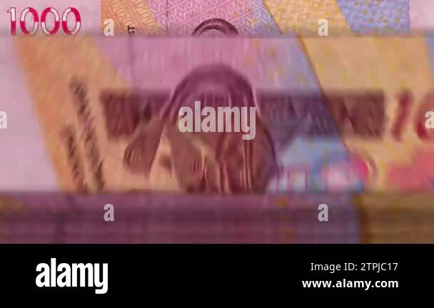 1000 franc note Stock Videos & Footage - HD and 4K Video Clips - Alamy