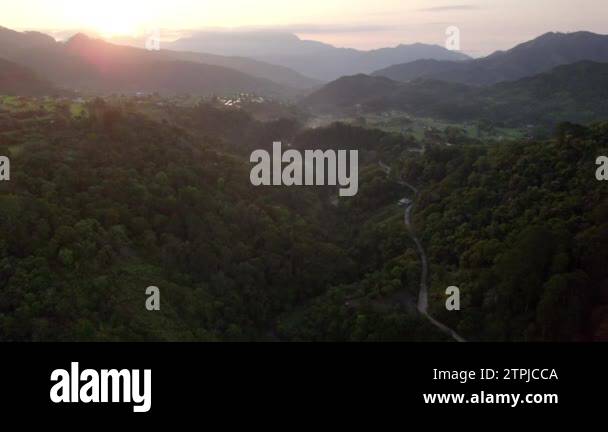 A drone shot of a winding road through a lush and vibrant forest, with ...