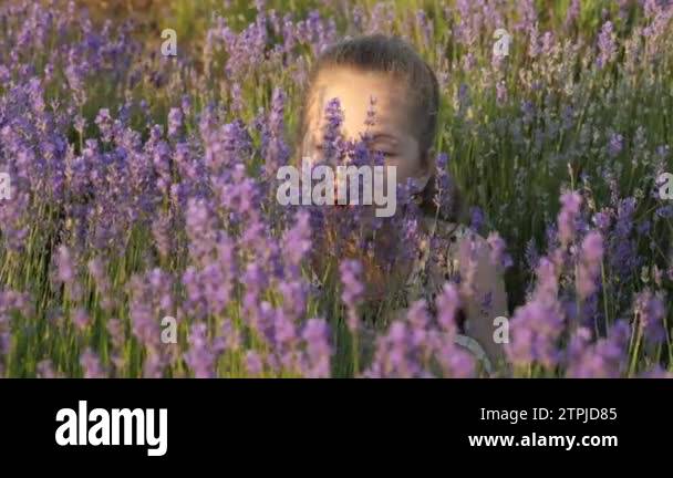 close-up face cute little girl sitting in lavender flowers and inhaling ...