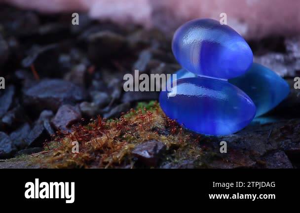 Stone spring Stock Videos & Footage - HD and 4K Video Clips - Alamy