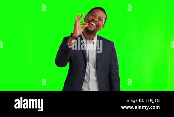 Business man, hand and ok sign on a green screen with a smile, positive ...