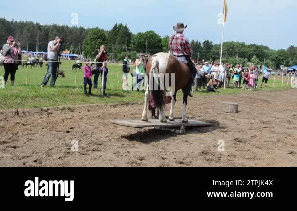 Horse show rider Stock Videos & Footage - HD and 4K Video Clips - Alamy