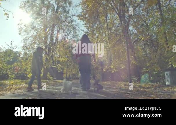 Mother and son are walking with dogs in the autumn forest together ...