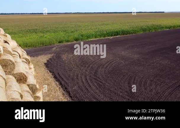 Many bales compressed dry Stock Videos & Footage - HD and 4K Video ...
