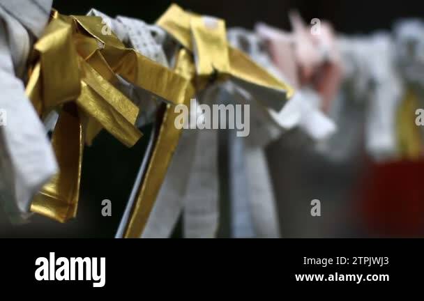 Fotune ritual at Iruki shrine at Shinagawa in Tokyo / Its a traditional ...