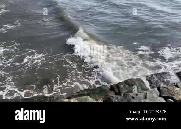 Environmental disaster. Sea pollution. The Growing Danger to the ...