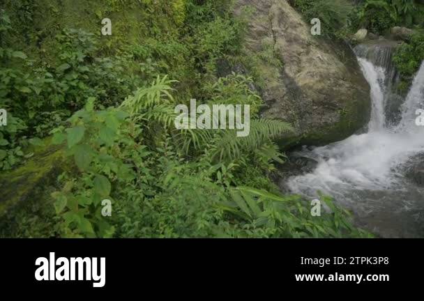 Kurseong india Stock Videos & Footage - HD and 4K Video Clips - Alamy
