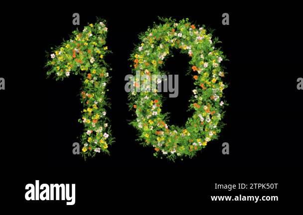 Number grass Stock Videos & Footage - HD and 4K Video Clips - Alamy