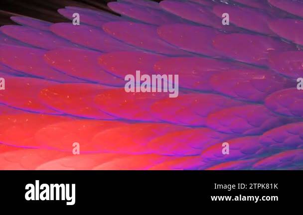 Looped seamless footage for your event, concert, stage design, title ...